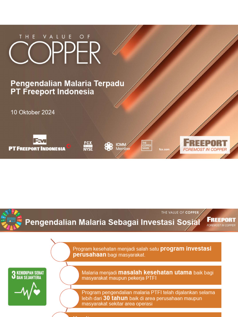 Profil PTFI Dalam Pengendalian Malaria | PDF