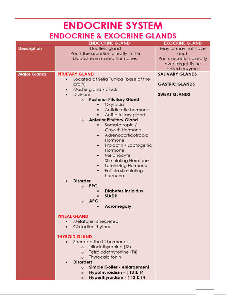 Ms Endocrine | PDF | Thyroid | Endocrine System