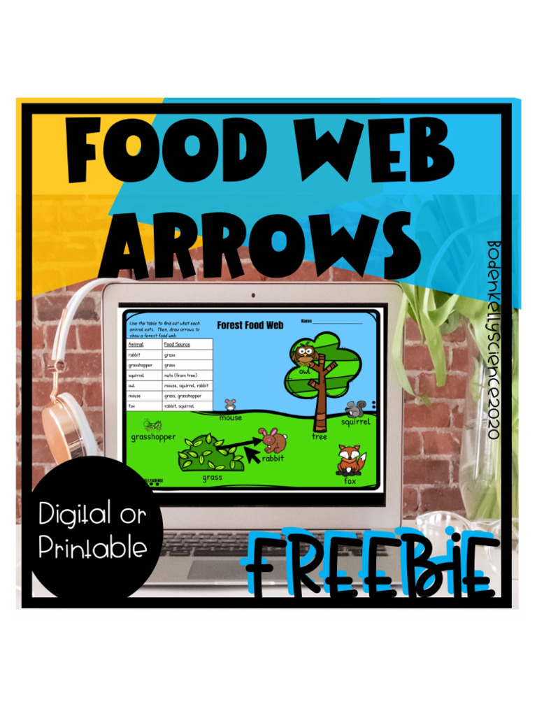 06 - Food Web Arrows Notes | PDF