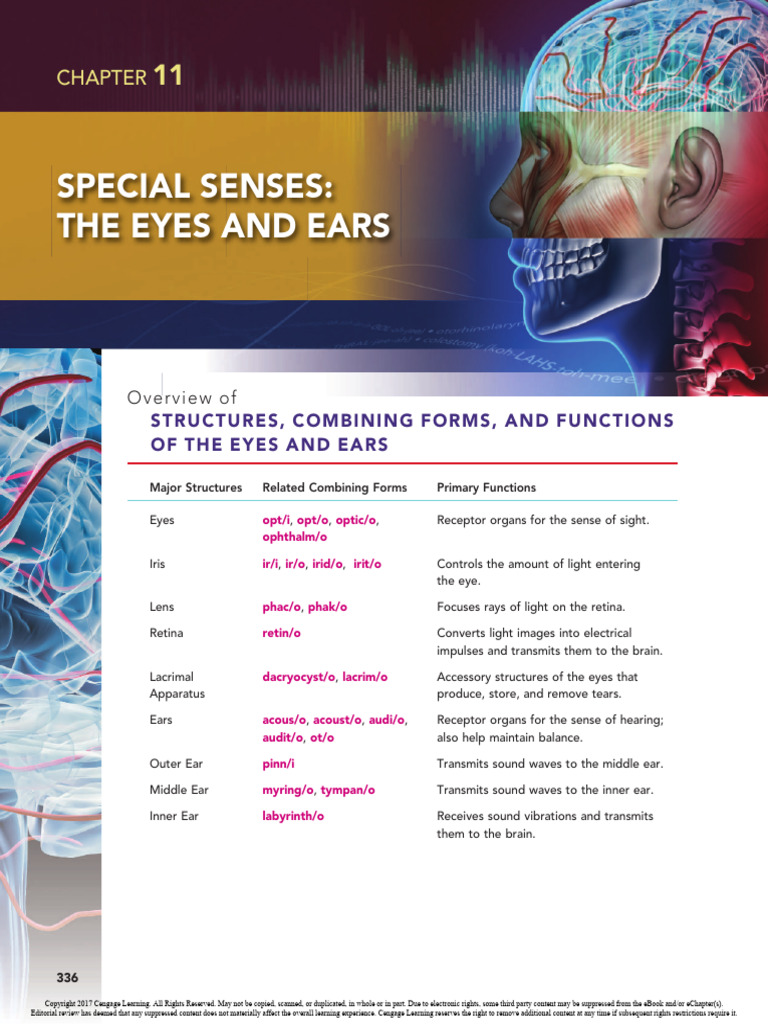 364-370 (Special Senses, Eyes and Ears) HOSA Medical Terminology | PDF ...