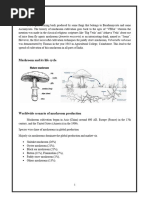 CMRG 2025-26 Proposal Guidelines | PDF | Sustainability | Sustainable ...