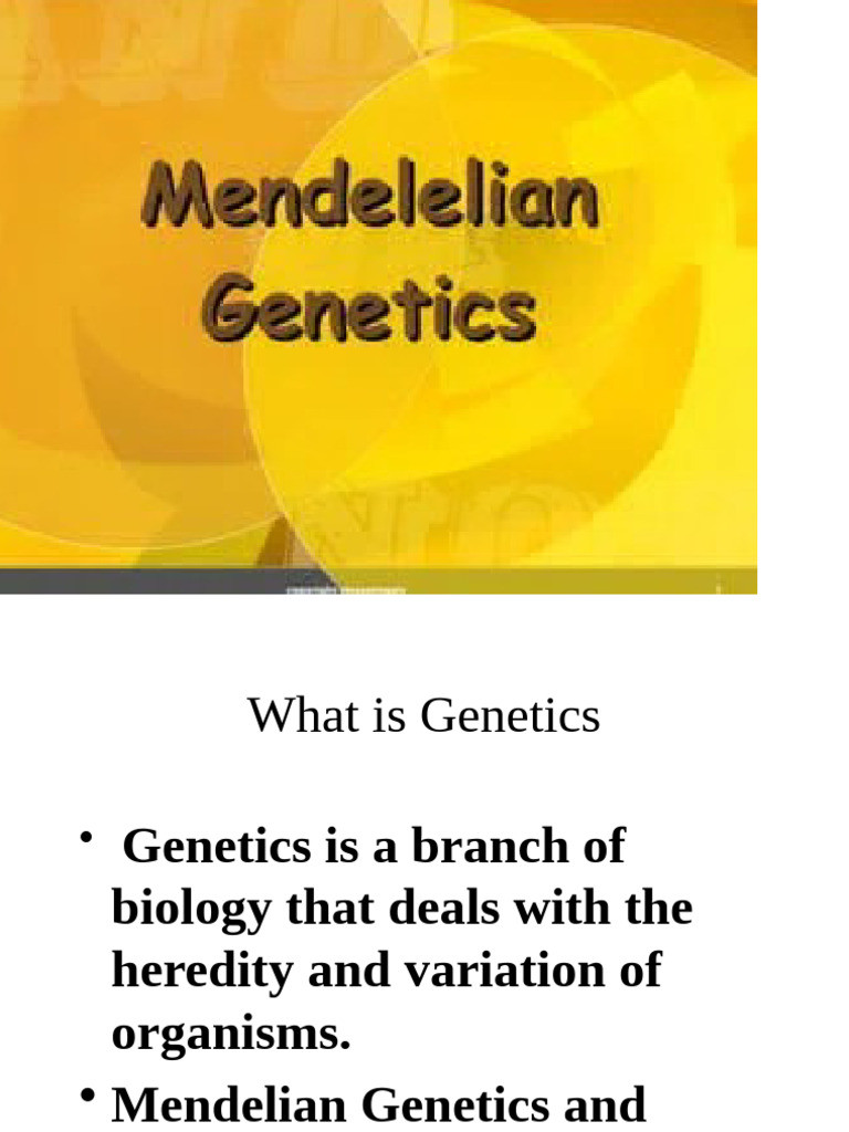 14.mendelian Genetics Final | PDF | Dominance (Genetics) | Genotype