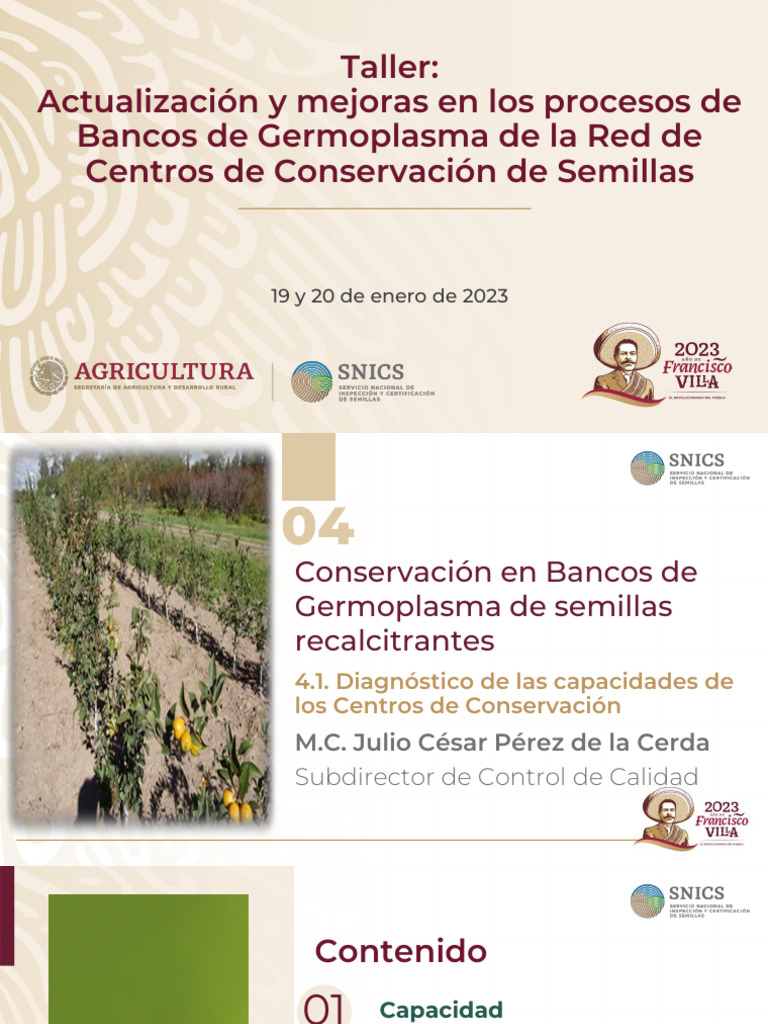 4 Conservaci N en BG de Semillas Recalcitrantes | PDF | Plantas | Botánica