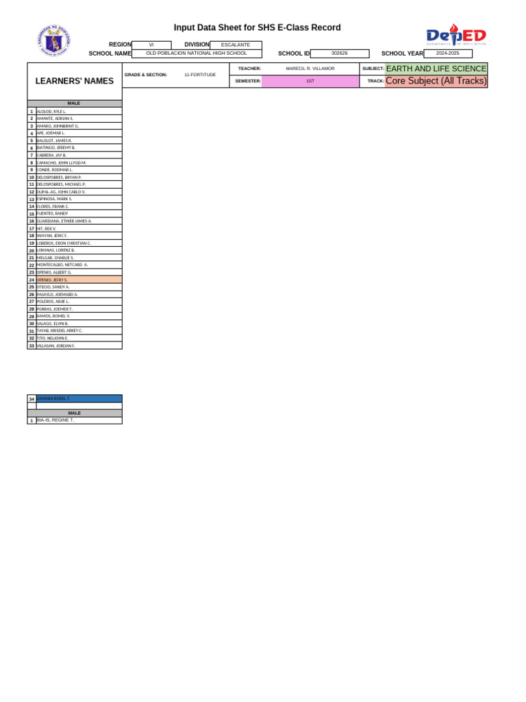 E-CLASS GRADE 11 FORTITUDE (1) .XLSX NEW! | PDF