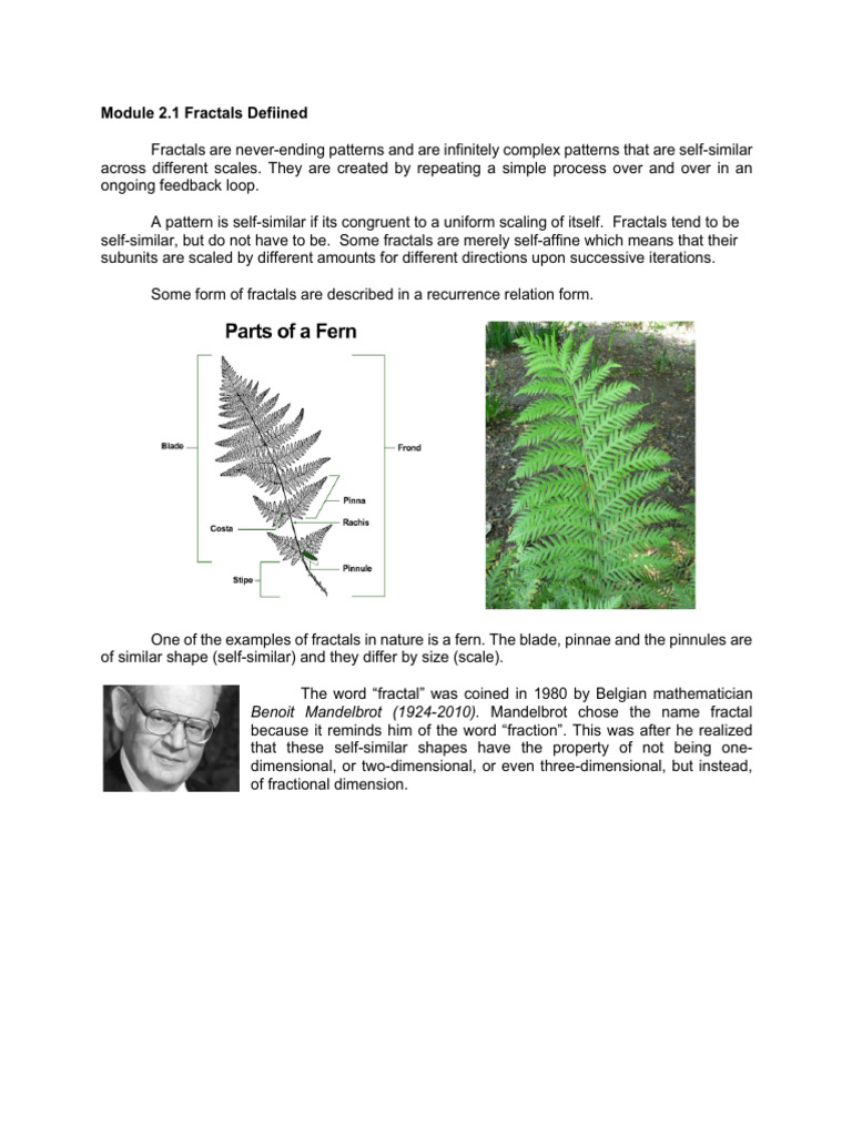 Understanding Fractals and Their Patterns | PDF