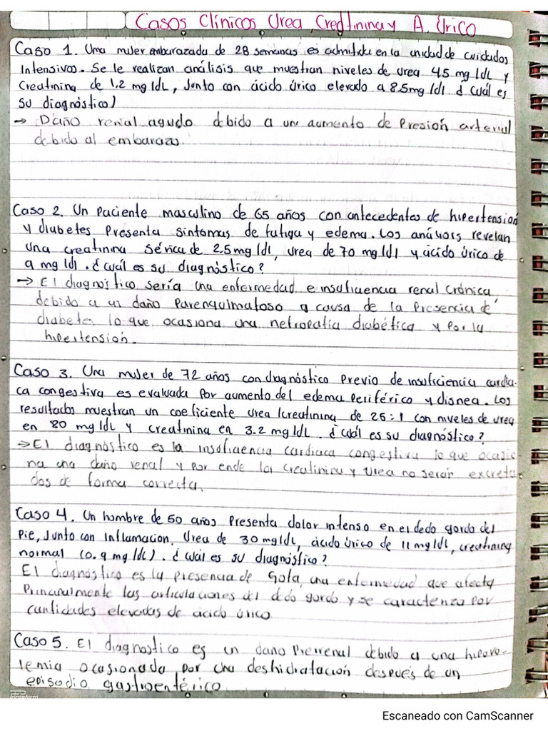 Casos Cl-Nicos de Urea - Creatinina y - Cido - Rico | PDF