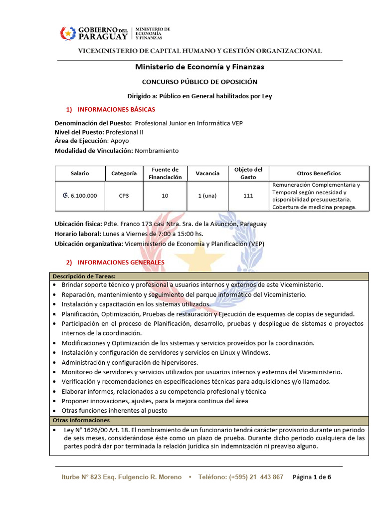 11-Perfil Prof. Junior Informatico-VEP | PDF | Servicio Civil | Planificación