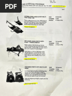 Lower Extremity Stretching Home Exercise Program (Article) Author ...