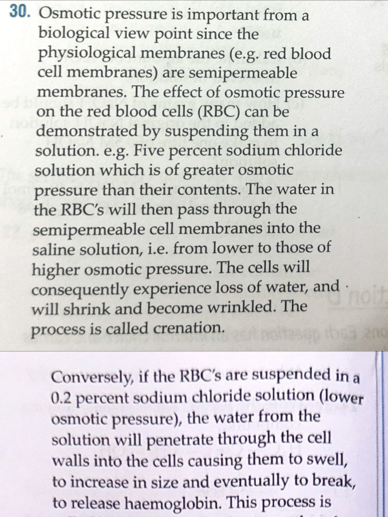 Case Based 2 Chapter Solutions | PDF