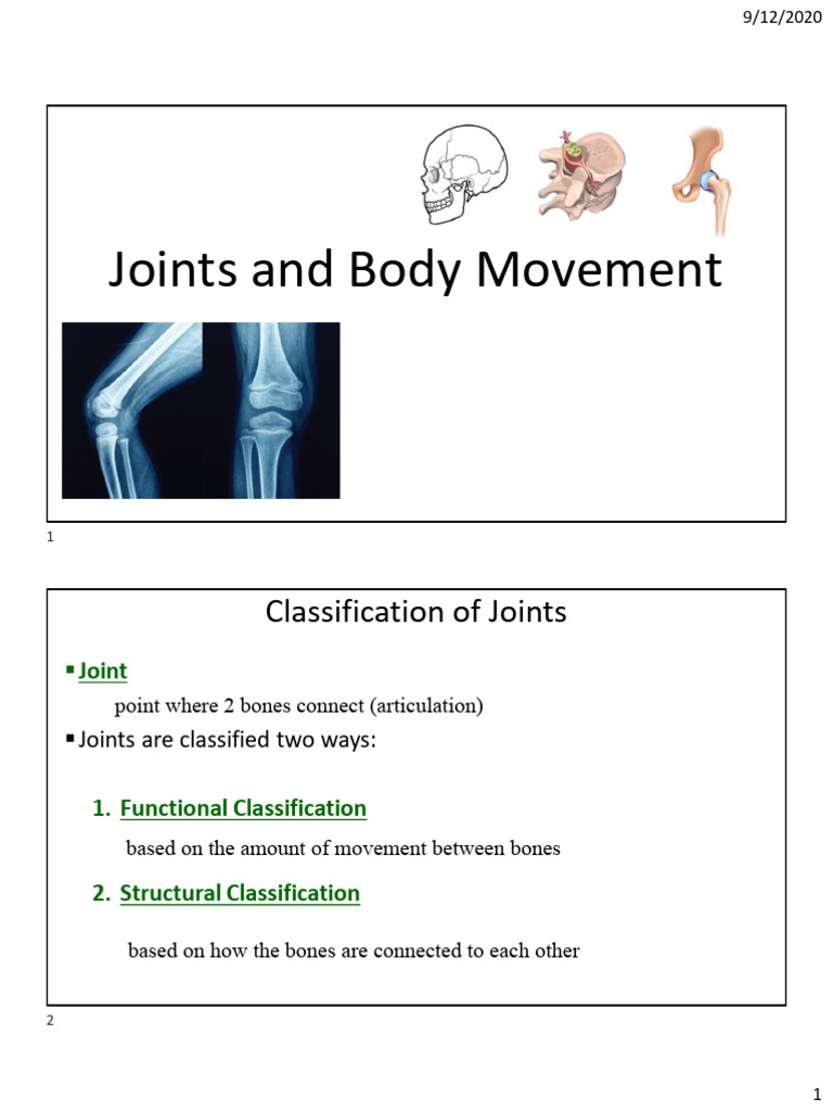 Joints and Body Movement | PDF | Joint | Cartilage