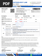 Positive Dengue Test Report Sample | PDF
