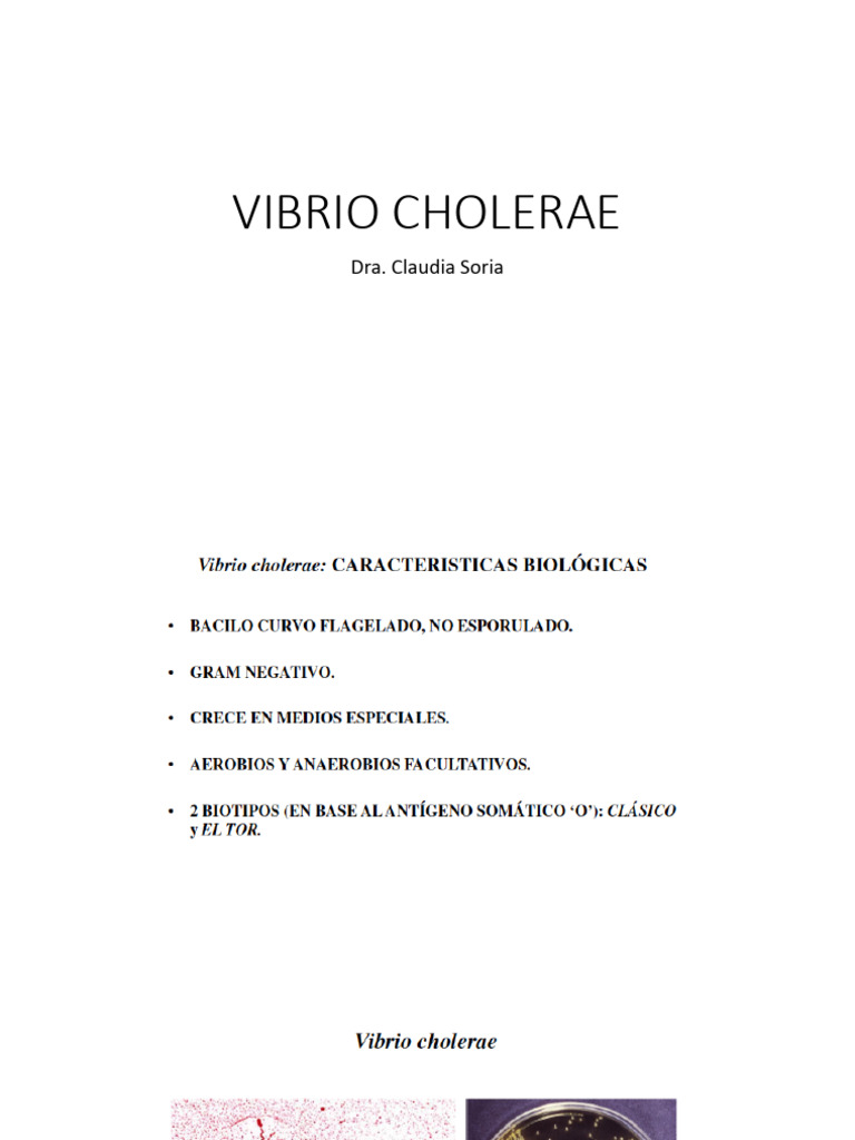 VIBRIO | PDF