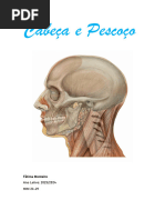 Anatomia e Funções do Osso Frontal | PDF | Anatomia humana | Sistema ...
