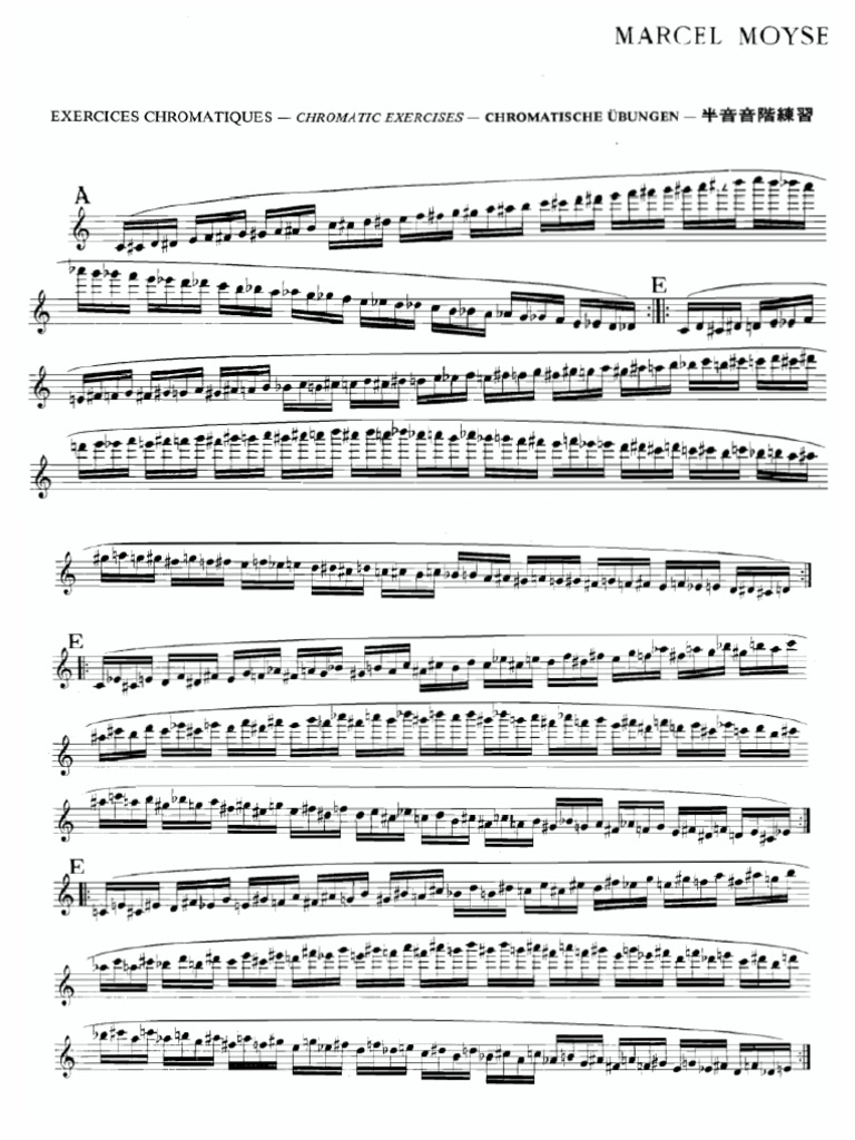 Marcel Moyse. Exercices Journaliers Pour La Flute. | PDF