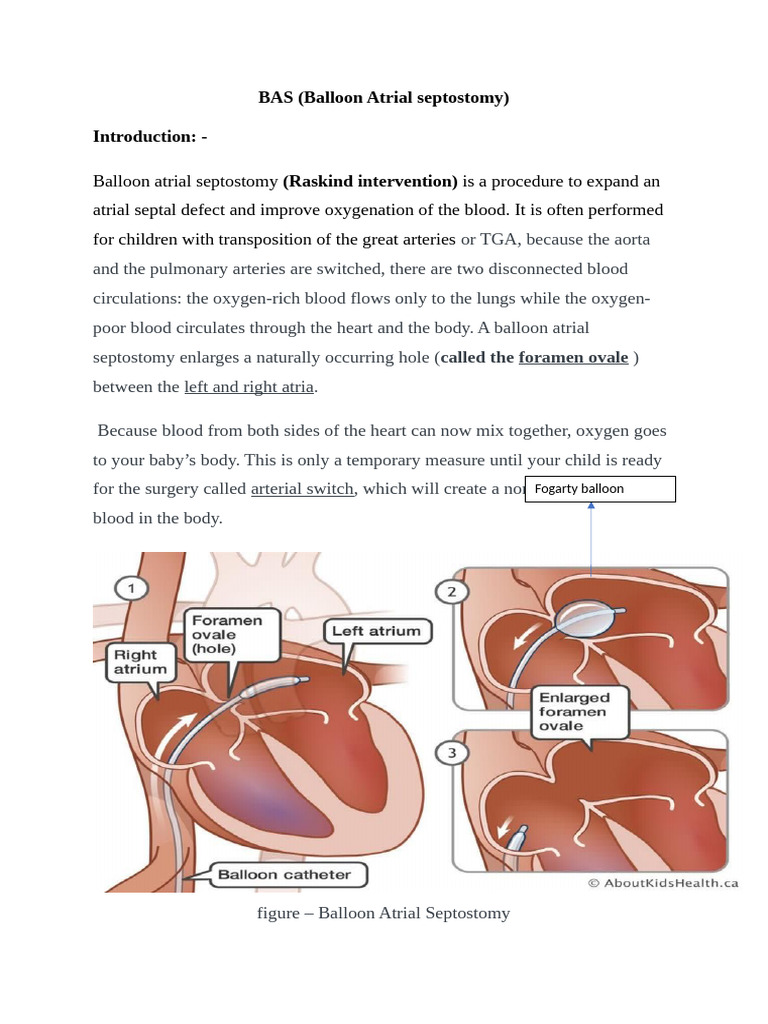 BAS procedure | PDF | Heart | Vein