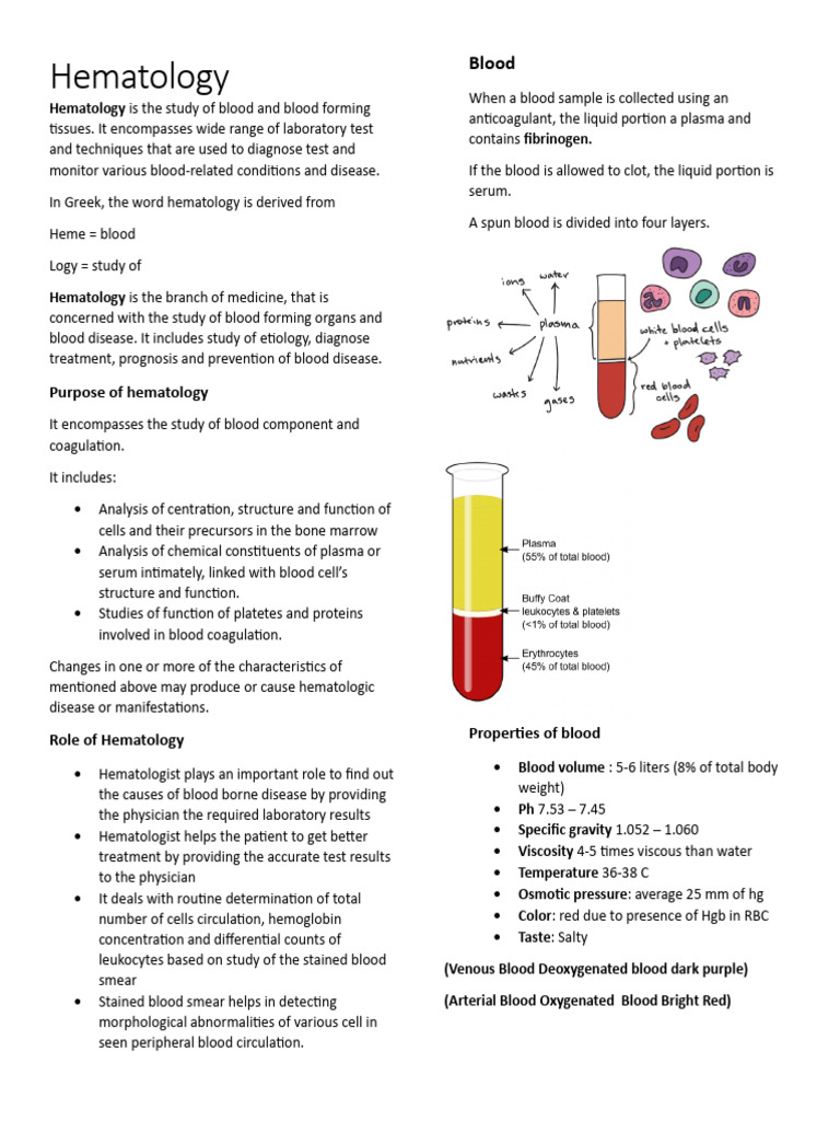 Hematology | PDF | White Blood Cell | Blood