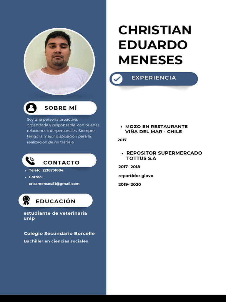 Perfil Profesional de Christian Meneses | PDF