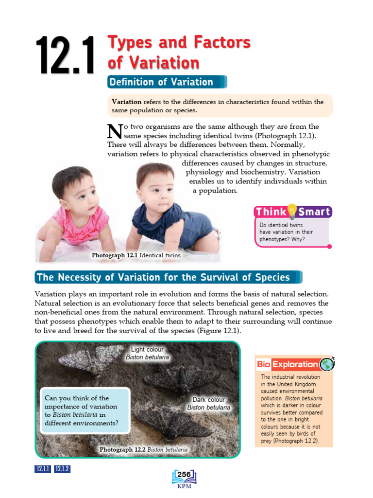 502292902-Biology-Form-5-KSSM_removed (12) | PDF | Meiosis | Mutation