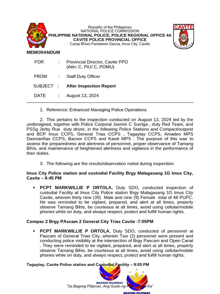 Sdo After Activity Report | PDF