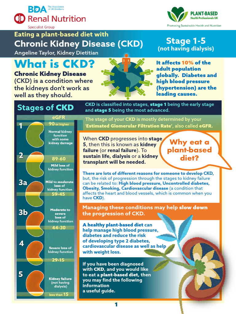 CKD Kidney fact sheets | PDF | Chronic Kidney Disease | Hypertension