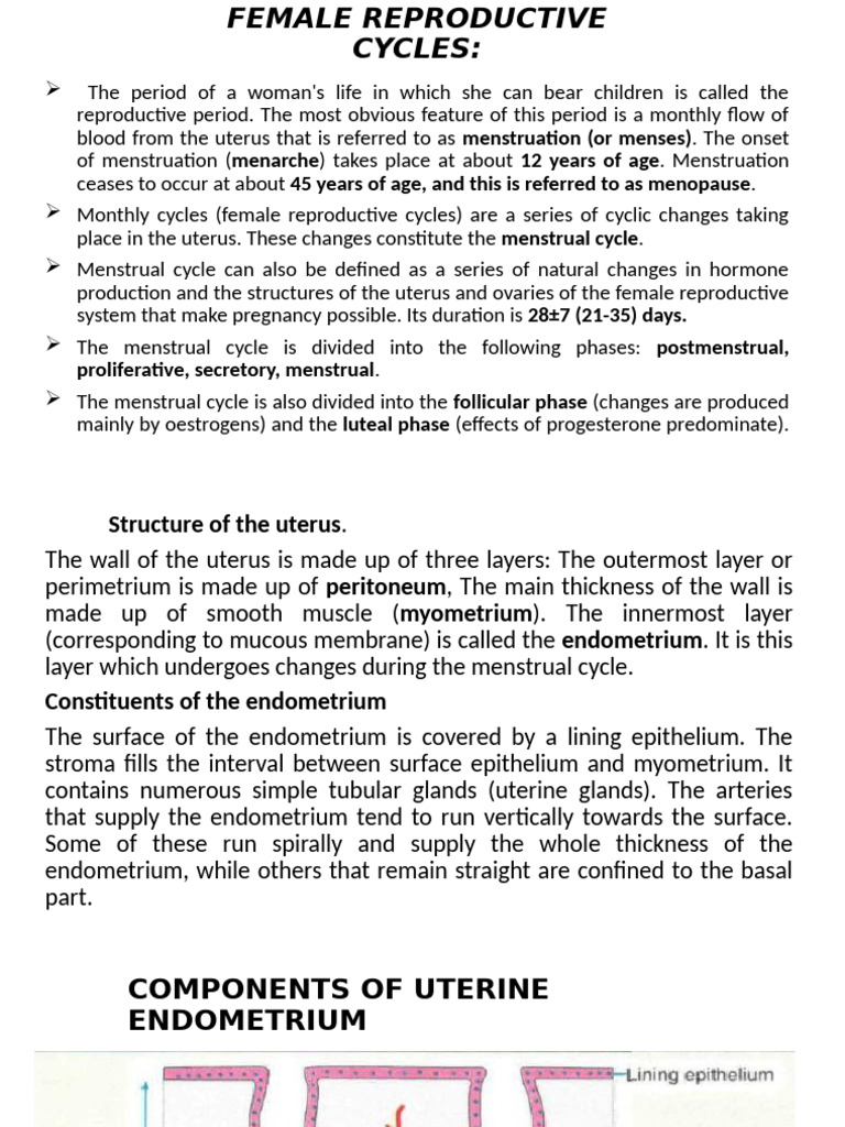 DR Anani3 ANA 421 (Female Reproductive Cycles) | PDF | Menstrual Cycle ...