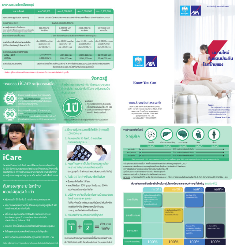 AG - Brochure - Icare | PDF
