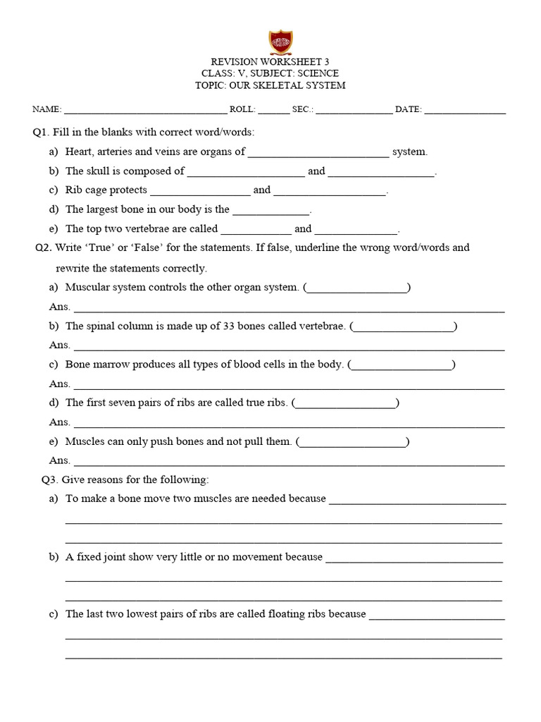 Revision Worksheet 3 On Our Skeletal System Nov 2024 | PDF | Skeleton ...