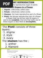 Lesson 4 Types of Family Structures | PDF | Parent | Family