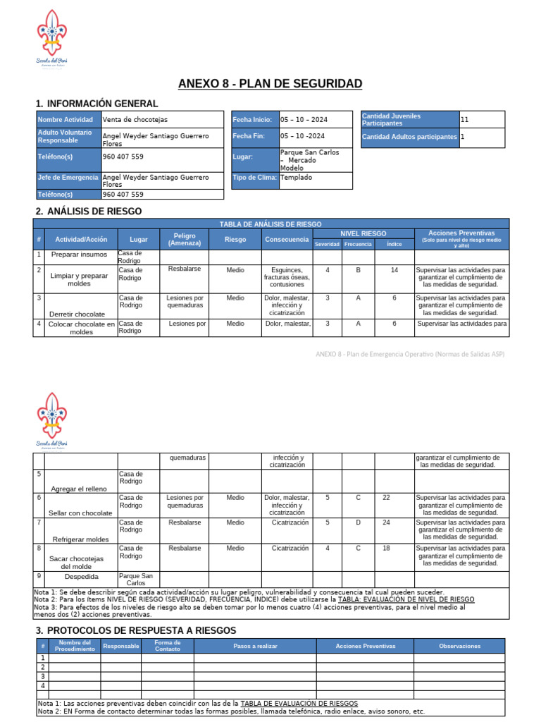 ANEXO-8-Plan de Seguridad 1 | PDF | Logística