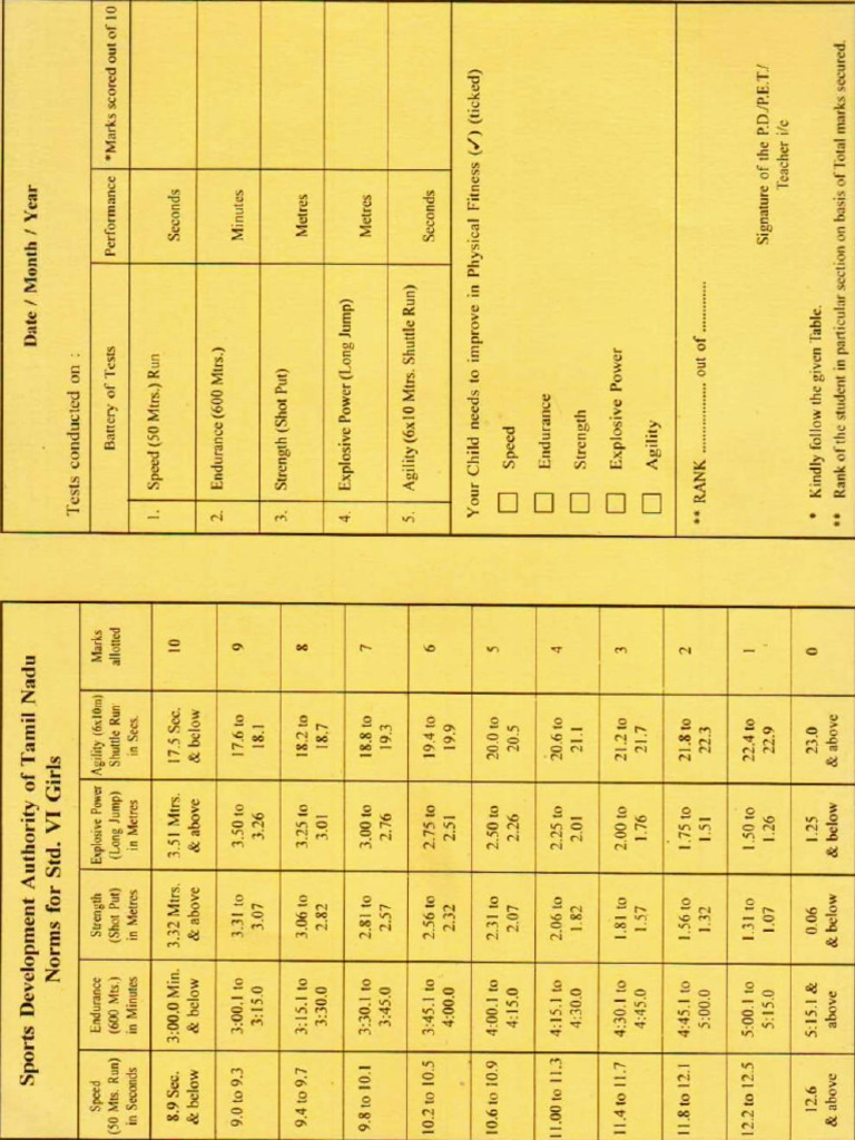 Battery Test Score Sheet | PDF