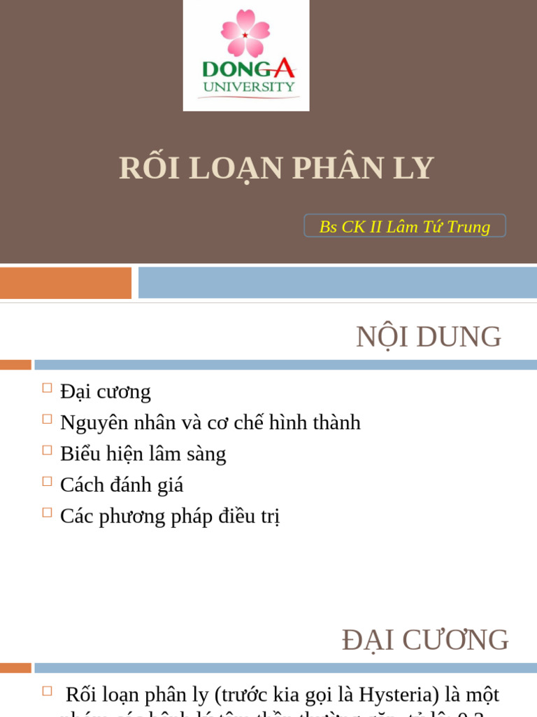 Roi Loan Phan Ly | PDF