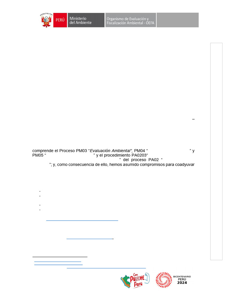 314861_oficio Circular 0019 2024 Oefa Dsap. Ultimo | PDF