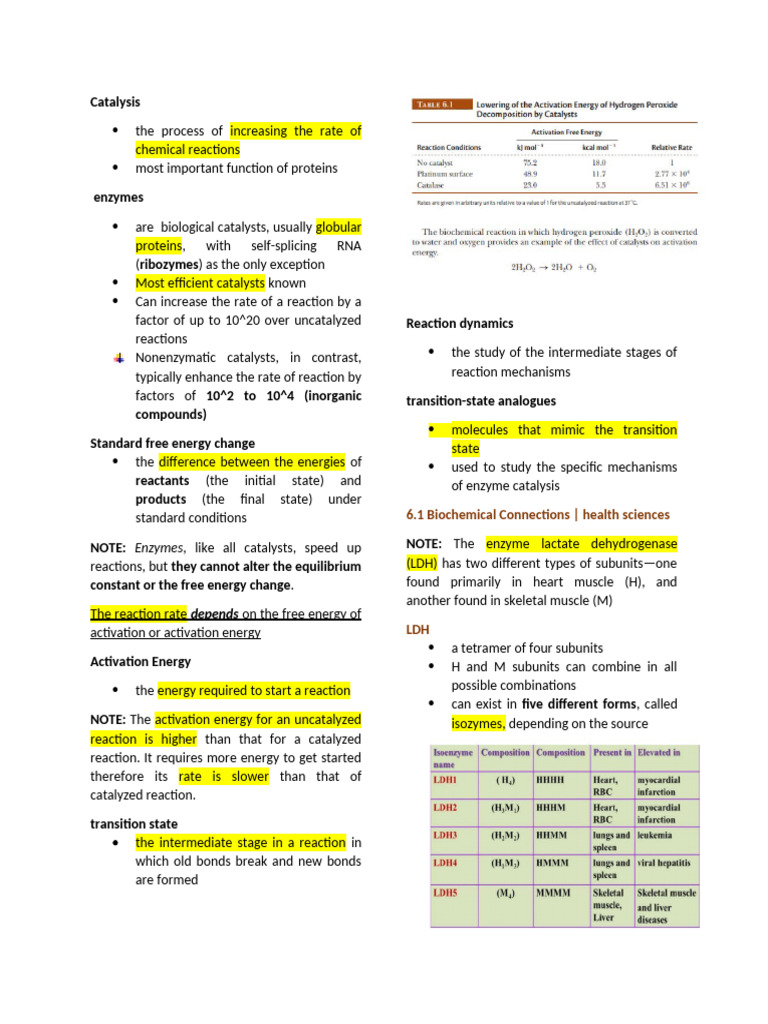 BIOCHEM NOTES UNIT 5 | PDF | Enzyme Inhibitor | Enzyme