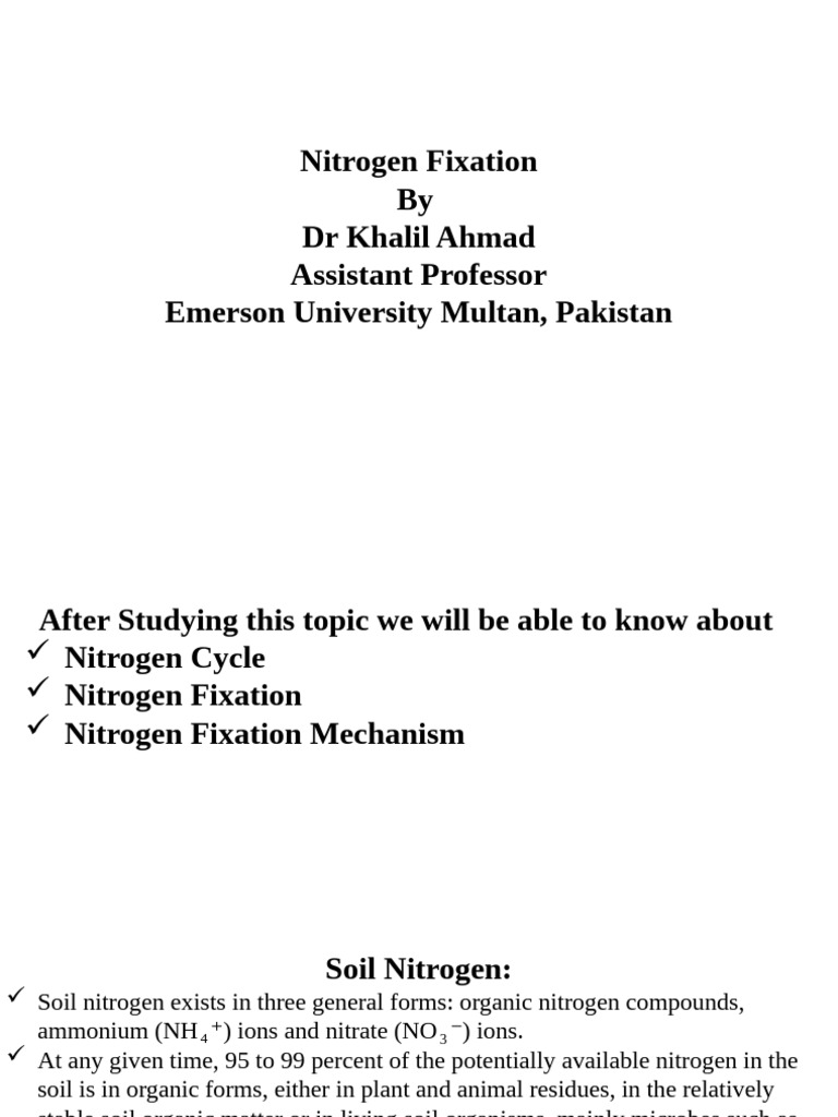 N2 Fixation Printed | PDF | Soil | Nitrogen
