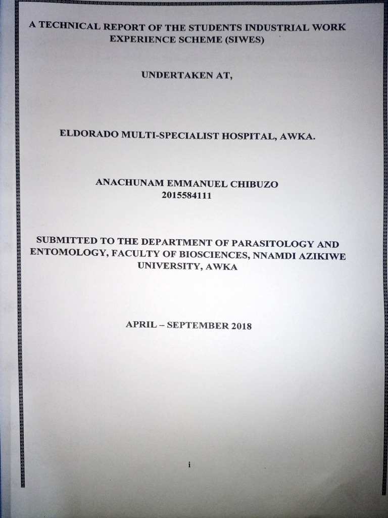 Technical Report Sample 1 | PDF