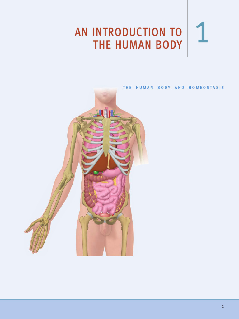 Introduction To The Human Body | PDF | Human Body | Gastrointestinal Tract