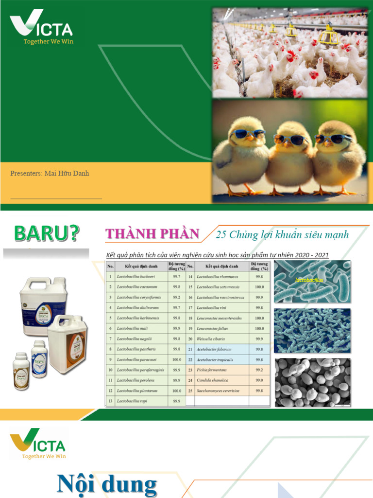 Baru For Chick | PDF