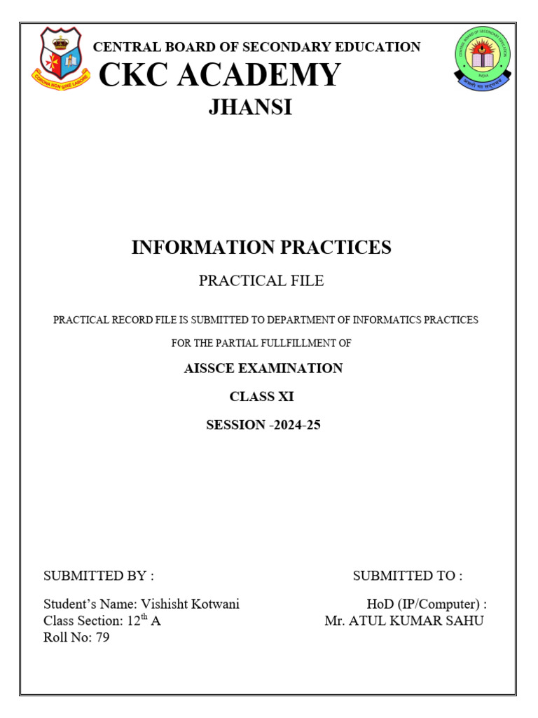 Class XI Informatics Practices File | PDF