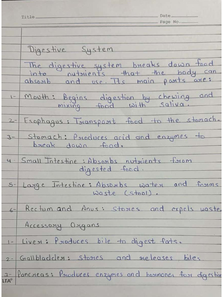 Anatomy Assignment by YOUNUS | PDF