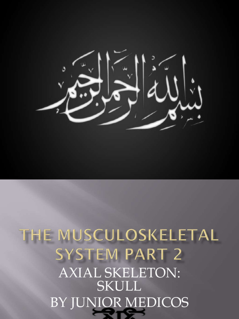 Musculoskeletal System Part 2 | PDF | Human Nose | Skull