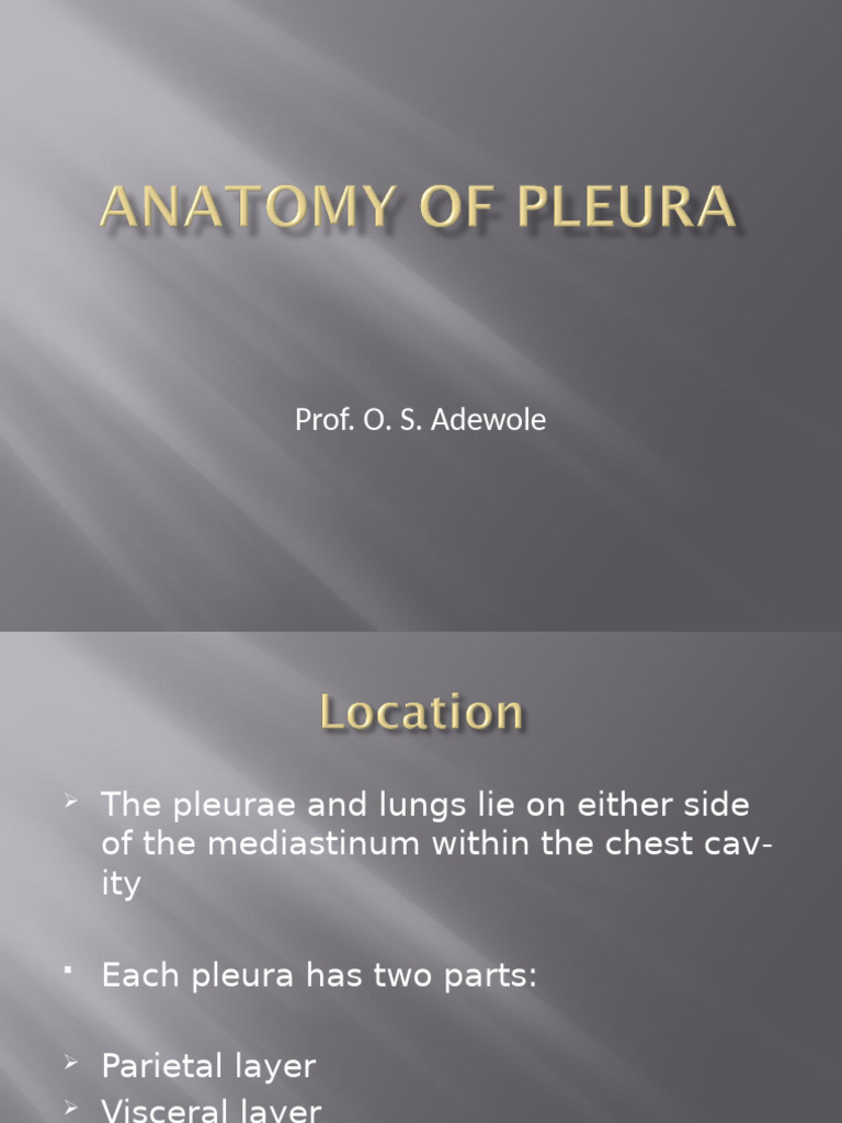 5. Anatomy of Pleura | PDF | Lung | Thorax (Human Anatomy)