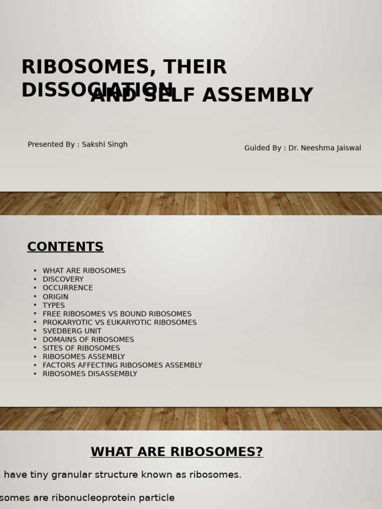 Sakshi Ppt[1] | PDF | Ribosome | Ribosomal Rna