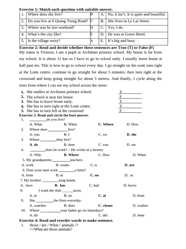 English Language Exercises for Beginners | PDF