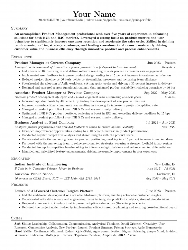 Malay's CV Template | PDF