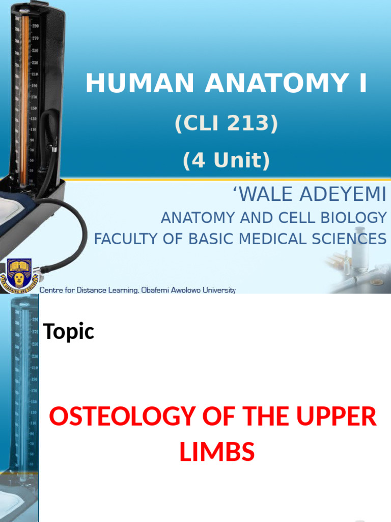 1. Osteology | PDF | Musculoskeletal System | Limbs (Anatomy)