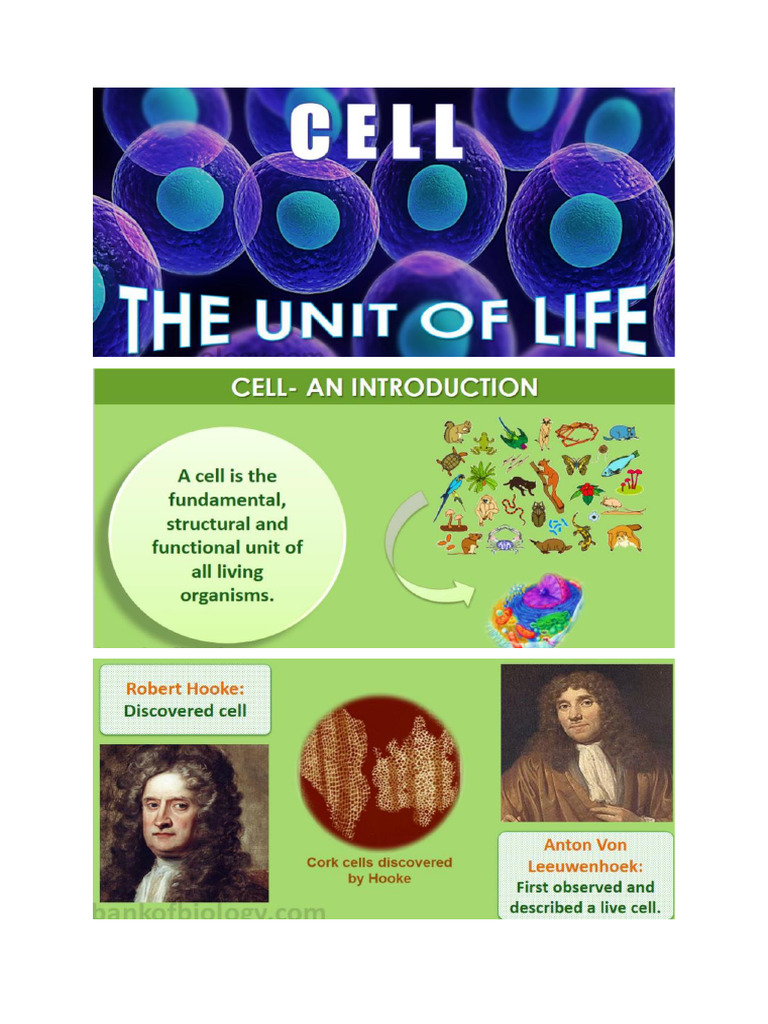 8 Cell-The Unit of Life-1 | PDF