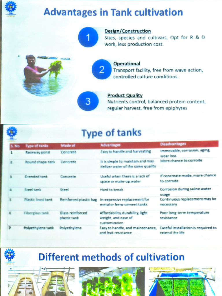 Advantages of Tank Cultivation Systems | PDF | Corrosion | Concrete