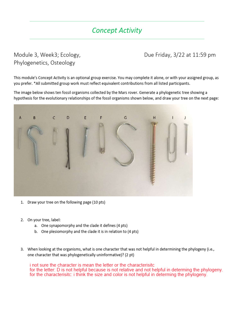 Module 3 Concept Activity | PDF