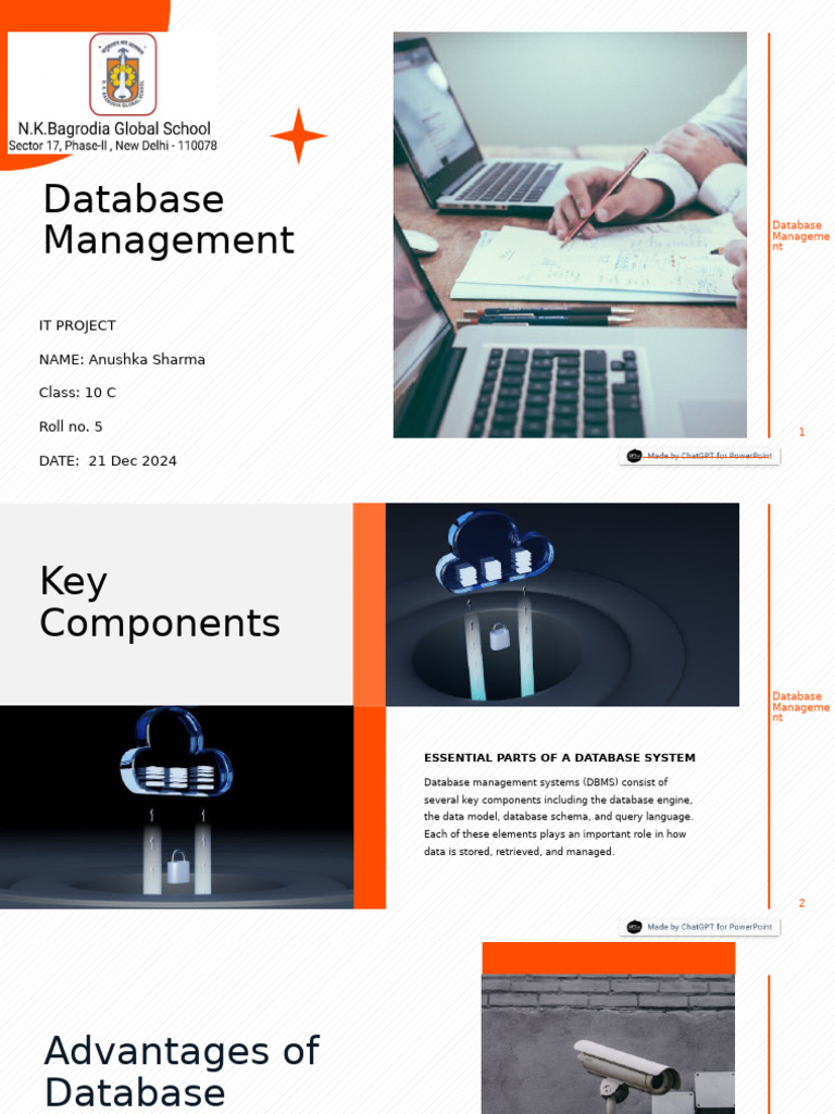 Database Management | PDF | Databases | Software Database Management | PDF | Databases | Software