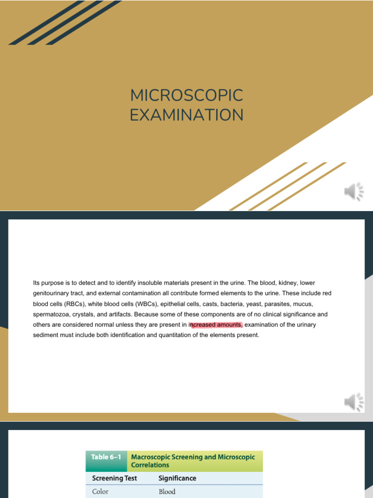 2 Urine Microscopic Exam | PDF